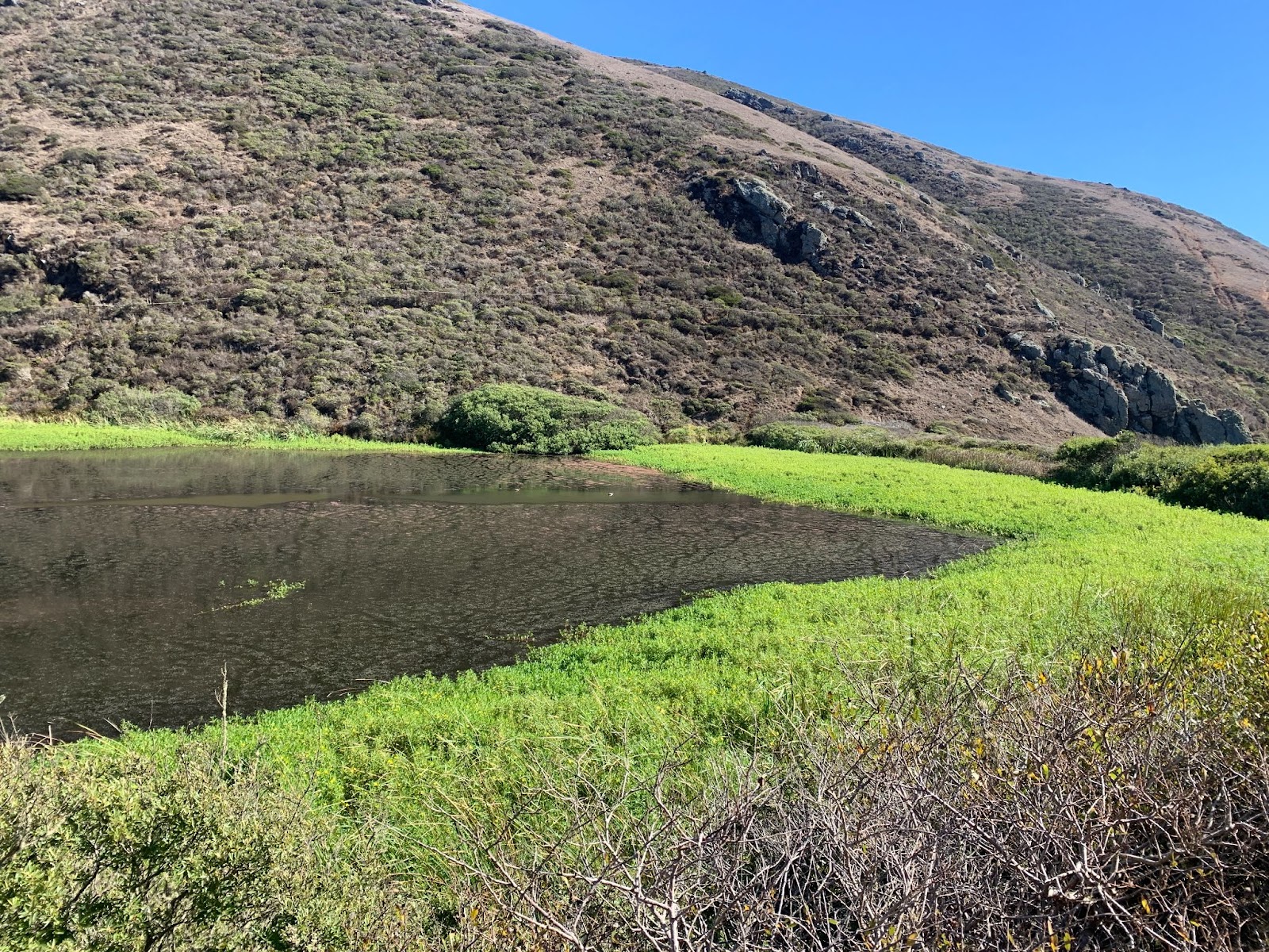 Tennessee Valley Dam Removal and Lower Valley Restoration Project ...